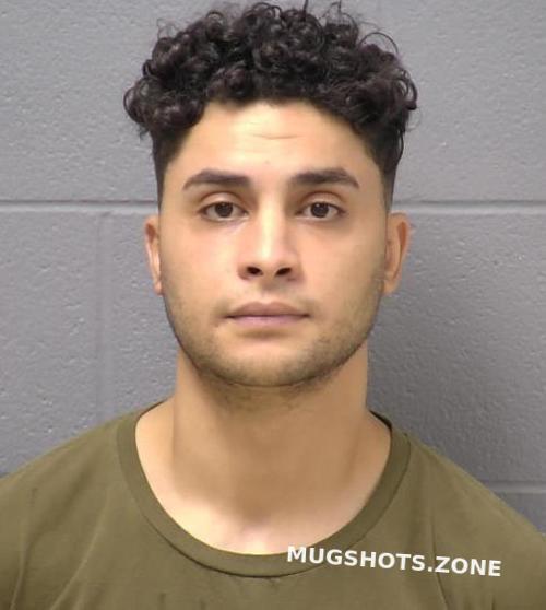 ADWAN SAMEH O 11/14/2024 - Will County Mugshots Zone