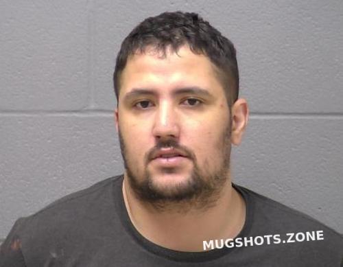 MAURICIO NICHOLAS M 11/20/2024 - Will County Mugshots Zone