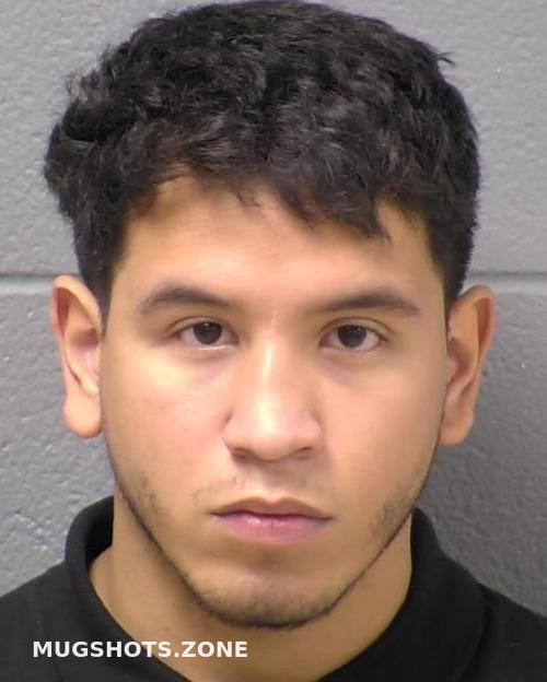CHAVEZ-BALMACEDA DAVID A 12/24/2024 - Will County Mugshots Zone