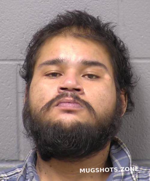 PARADEZ RODOLFO JUNIOR 12/29/2024 - Will County Mugshots Zone