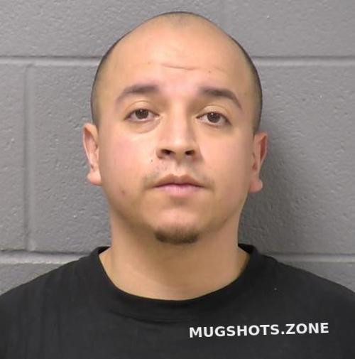 MENDIOLA JONATHAN 01/03/2025 - Will County Mugshots Zone