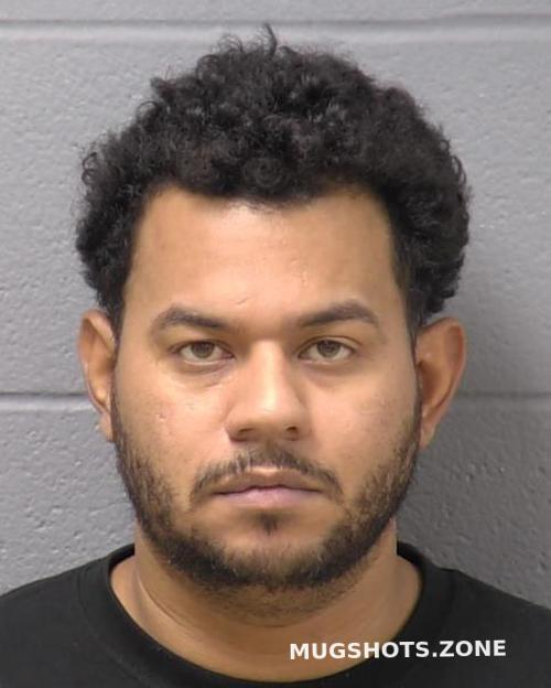 RIVAS AQUINO WILLBER ALEXANDER 01/07/2025 - Will County Mugshots Zone