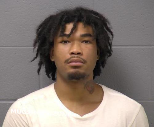 KING DEON D 01/17/2025 - Will County Mugshots Zone