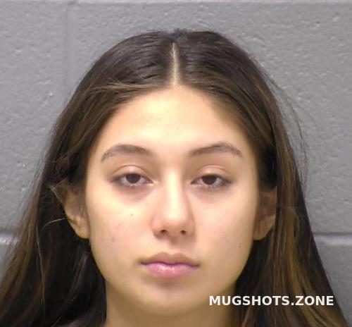 PENA ANAHI 01/17/2025 - Will County Mugshots Zone