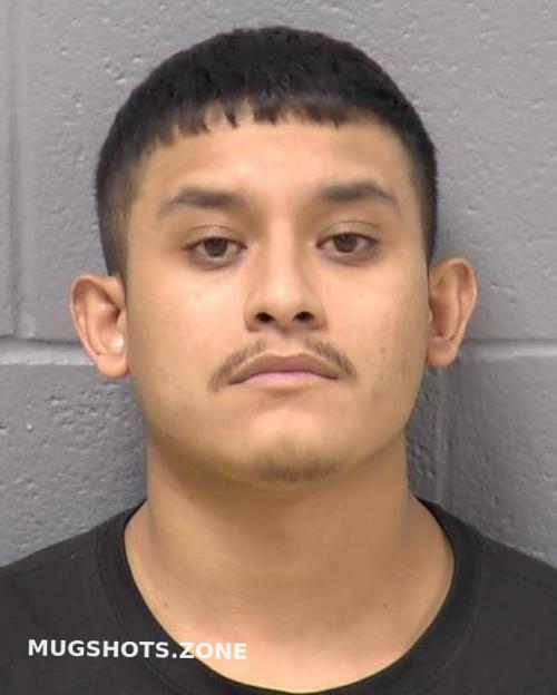 Navarro Diaz Julio 01 28 2025 Will County Mugshots Zone