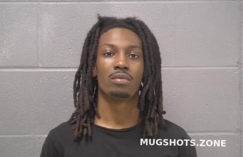 EALY DANIELE M 02/19/2025 - Will County Mugshots Zone