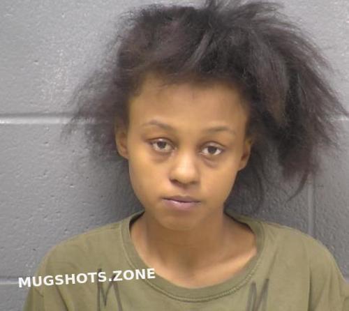 MAXWELL SOMMER K 02/24/2025 - Will County Mugshots Zone