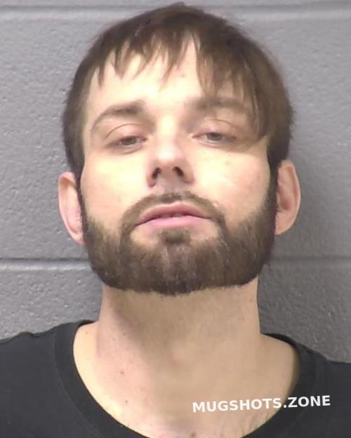 JAMICICH ANDREW D 02/25/2025 - Will County Mugshots Zone