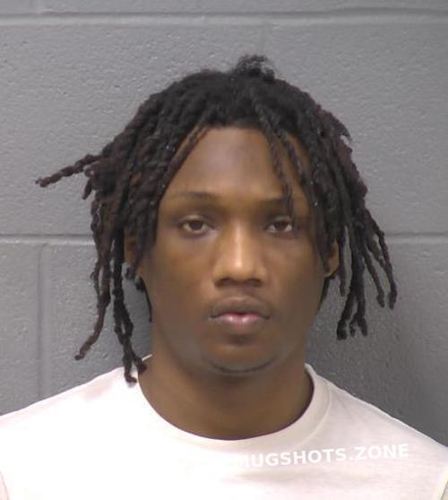 POWELL ANTHONY J 03/02/2025 - Will County Mugshots Zone