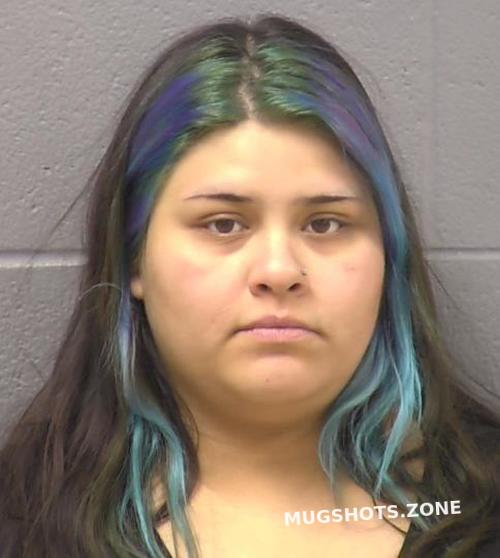 INCHAURRIGA MELISSA 03/11/2025 - Will County Mugshots Zone