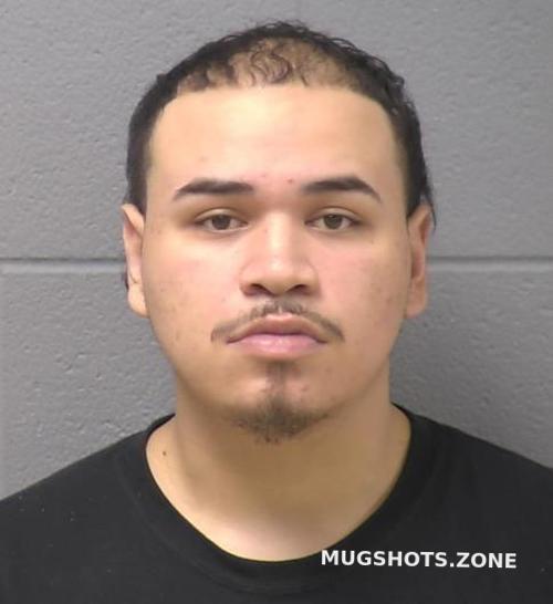 CHAPA JUSTIN X 04/10/2025 - Will County Mugshots Zone