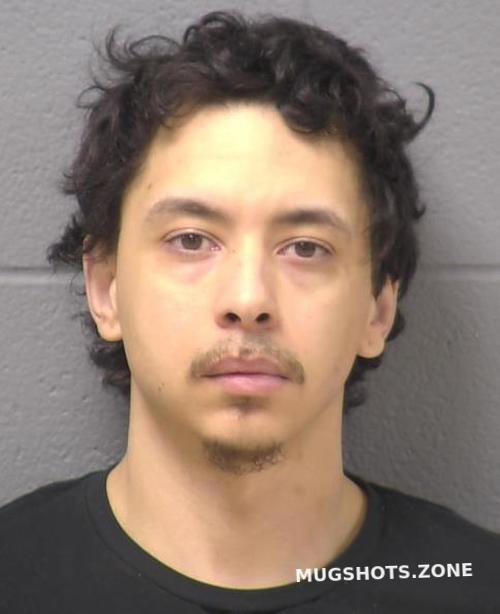 MOLINA DAVID R JUNIOR 04/11/2025 - Will County Mugshots Zone