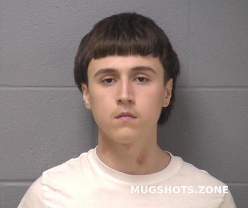 DIOSDADO AYDEN M 04/13/2025 - Will County Mugshots Zone