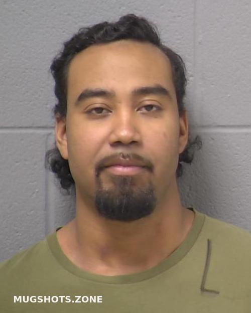 TRAYLOR MARC A JUNIOR 04/19/2025 - Will County Mugshots Zone