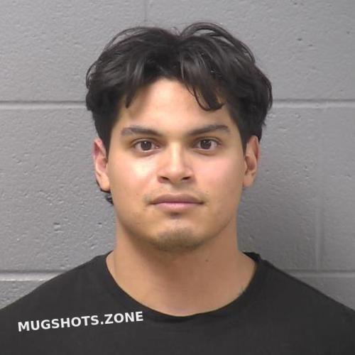 RENDON JOSE J 04/29/2025 - Will County Mugshots Zone