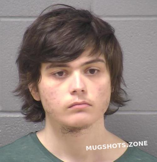 ROSSOW JAMES W JUNIOR 05/01/2025 - Will County Mugshots Zone