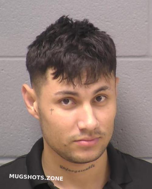 BONNET ANDRADE DUVAN S 05/09/2025 - Will County Mugshots Zone