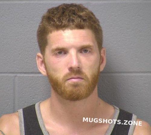 SMITH DEVON 06/15/2025 - Will County Mugshots Zone