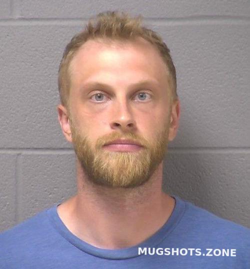 LARKIN DILLON 07/01/2025 - Will County Mugshots Zone