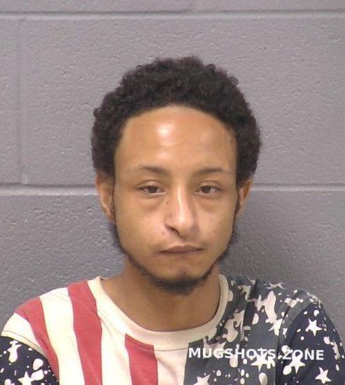 BROWN NICHOLAS R 07/08/2025 - Will County Mugshots Zone