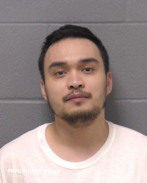ARAGO MARC JAYSON DURAN 07/17/2025 - Will County Mugshots Zone