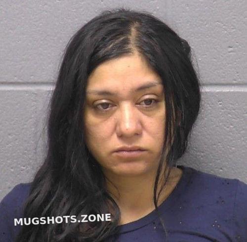 MARTINEZ RAMIREZ NANCY E 07/18/2025 - Will County Mugshots Zone