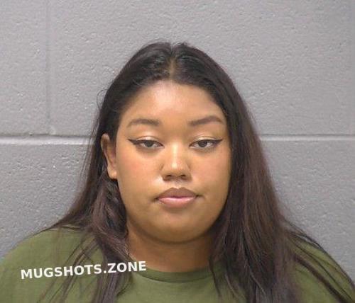 WILLIAMS LEXA Y 07/19/2025 - Will County Mugshots Zone
