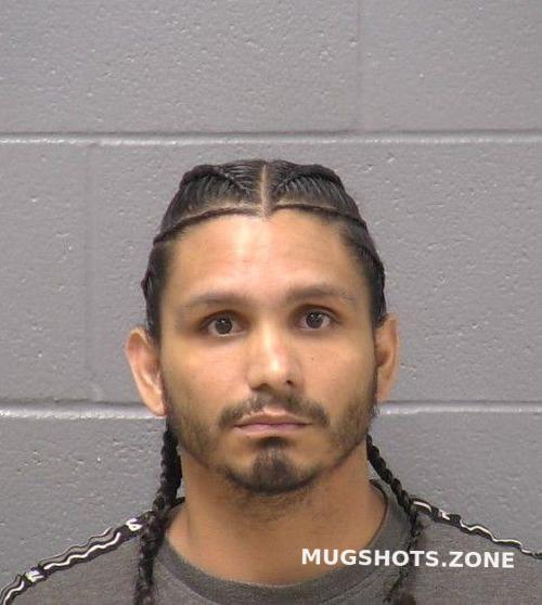CARDOZO CASTILLO DANIEL 07/30/2025 - Will County Mugshots Zone