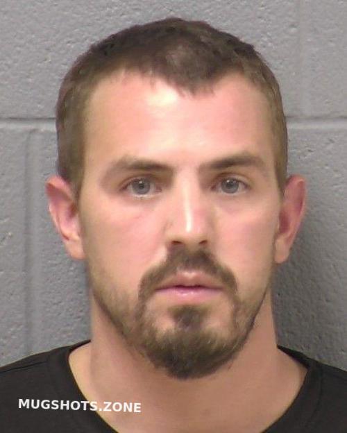 DAVIS SEAN A 08/03/2025 - Will County Mugshots Zone