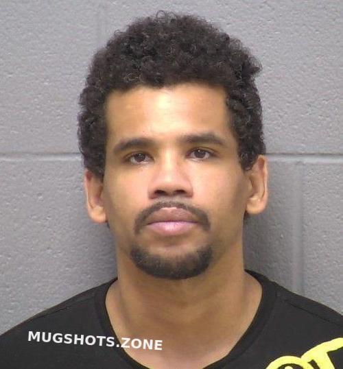 SHEWARD ANTONE D 08/08/2025 - Will County Mugshots Zone