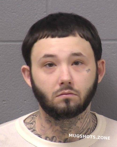 ALLEN NICHOLAS R 08/29/2025 - Will County Mugshots Zone