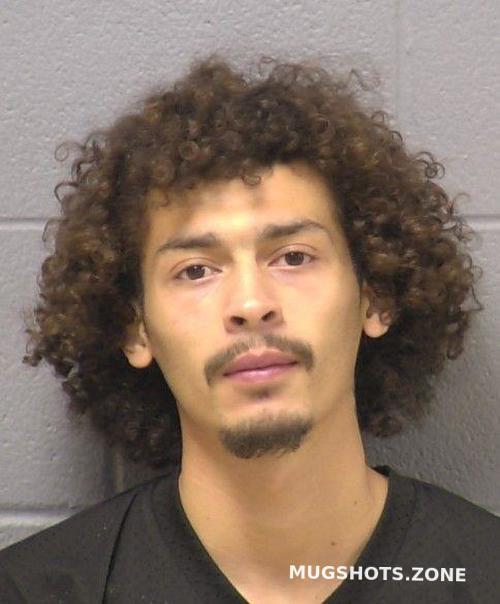 REID ALONZO R 09/10/2025 - Will County Mugshots Zone