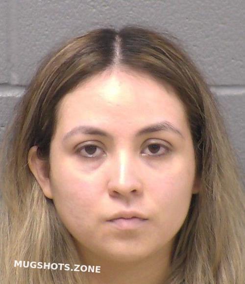 ACEVES JAHAYRA 01/07/2026 - Will County Mugshots Zone