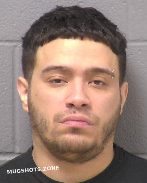 SALAS JUSTIN A 01/26/2026 - Will County Mugshots Zone