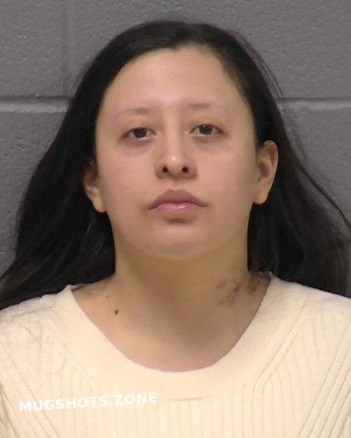 ORELLANA CARLA 01/27/2026 - Will County Mugshots Zone