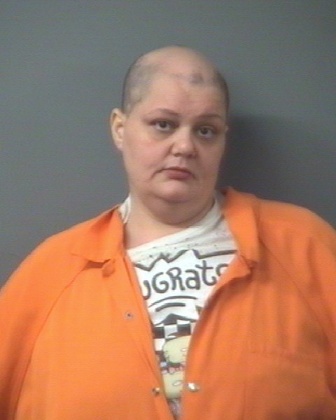 WHITLEY LAURA RENEE 12/17/2020 - Wilson County Mugshots Zone