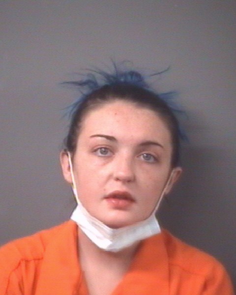 HAWLEY WHITLEY NICOLE 04/06/2021 - Wilson County Mugshots Zone