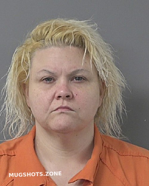 MOORE KAYLA MICHELLE 02/18/2025 - Wilson County Mugshots Zone