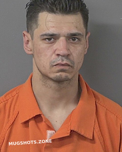 SZIGETY SEAN INGRAM 03/19/2025 - Wilson County Mugshots Zone