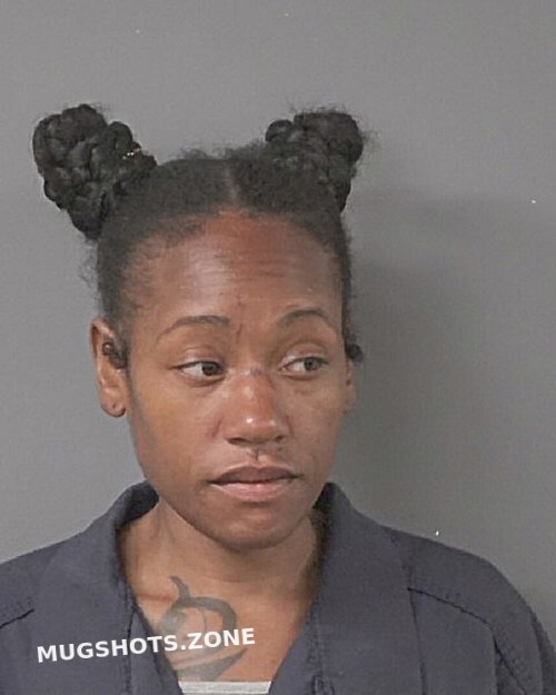 JOHNSON DANIELLE ERIN 04/12/2025 - Wilson County Mugshots Zone