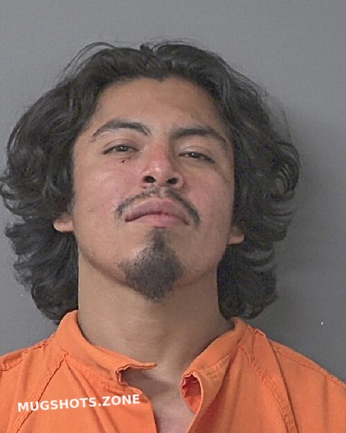 HERNANDEZ JONATHAN 05/29/2025 - Wilson County Mugshots Zone