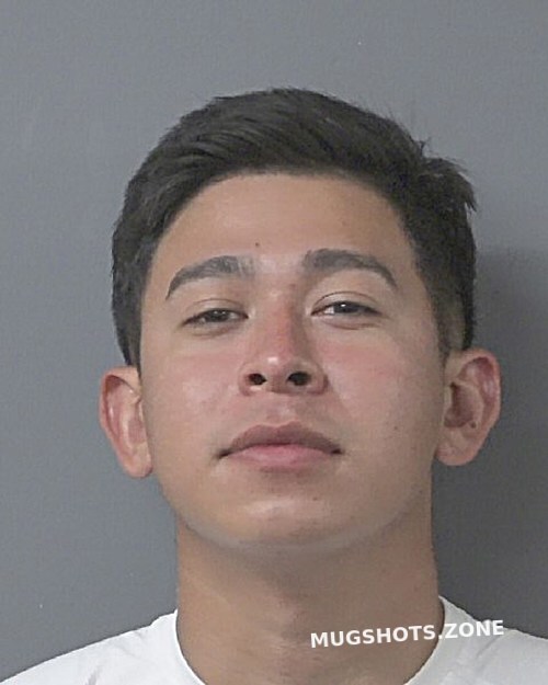 BARRIOS MARVIN 07/06/2025 - Wilson County Mugshots Zone