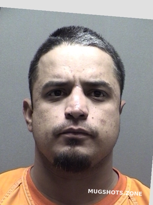 RAMIREZ THOMAS ALBERTO 01/03/2021 - Wilson County Mugshots Zone