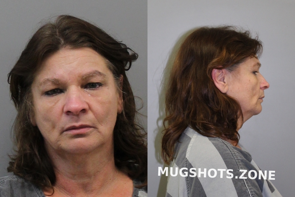 BRIER ROBIN LYNEE 04/08/2021 - Wise County Mugshots Zone