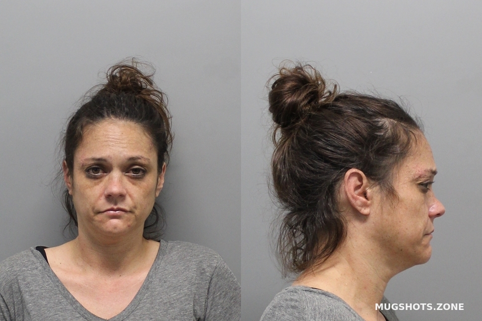 CRYER NANCY DENISE 07/15/2021 - Wise County Mugshots Zone