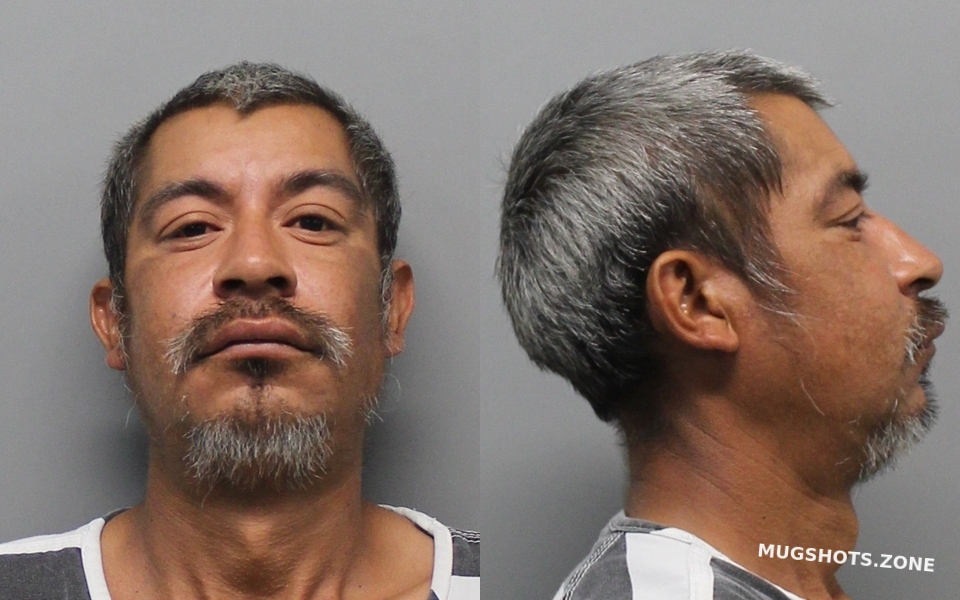 VILLAFANA ALFARO JAMIE 08/20/2021 - Wise County Mugshots Zone