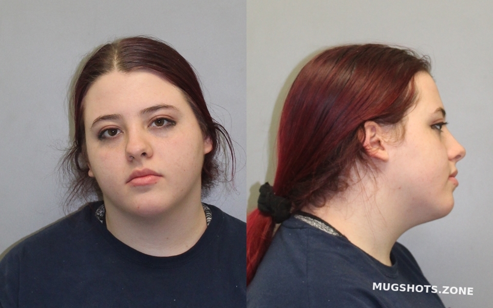 SCHMIDT CHLOE ANN 01/05/2022 - Wise County Mugshots Zone