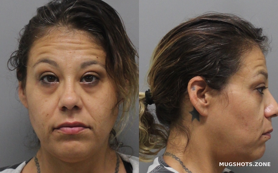 SMARTT LISA RENE 10/13/2022 - Wise County Mugshots Zone