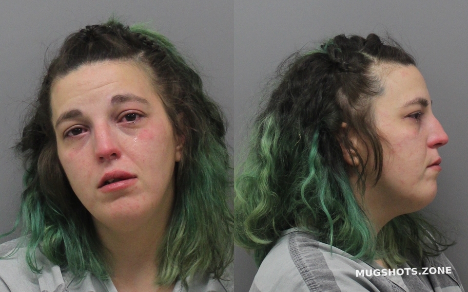 HOME KAYLEE MEGAN 10/30/2022 - Wise County Mugshots Zone