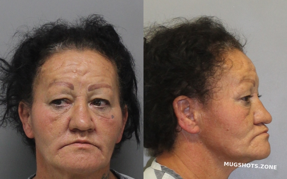 BRIDGES GINGER JEAN 11/22/2022 - Wise County Mugshots Zone